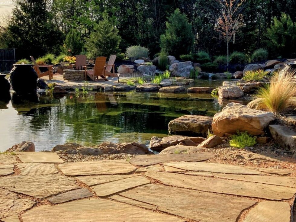 Why Fredericksburg, Texas Is Perfect for a Natural Swimming Pool ...
